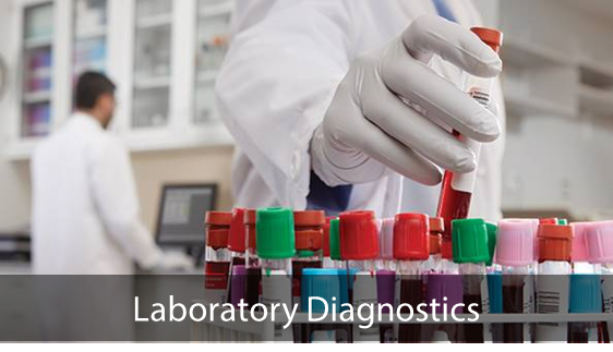 Partnership Opportunities – TNT Medical